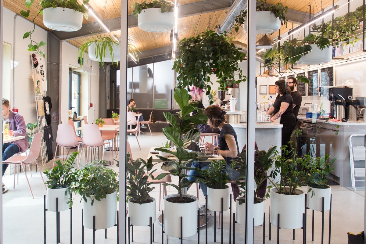 TULA café located in Kingston's Inner Harbour inside the Broom Factory ...